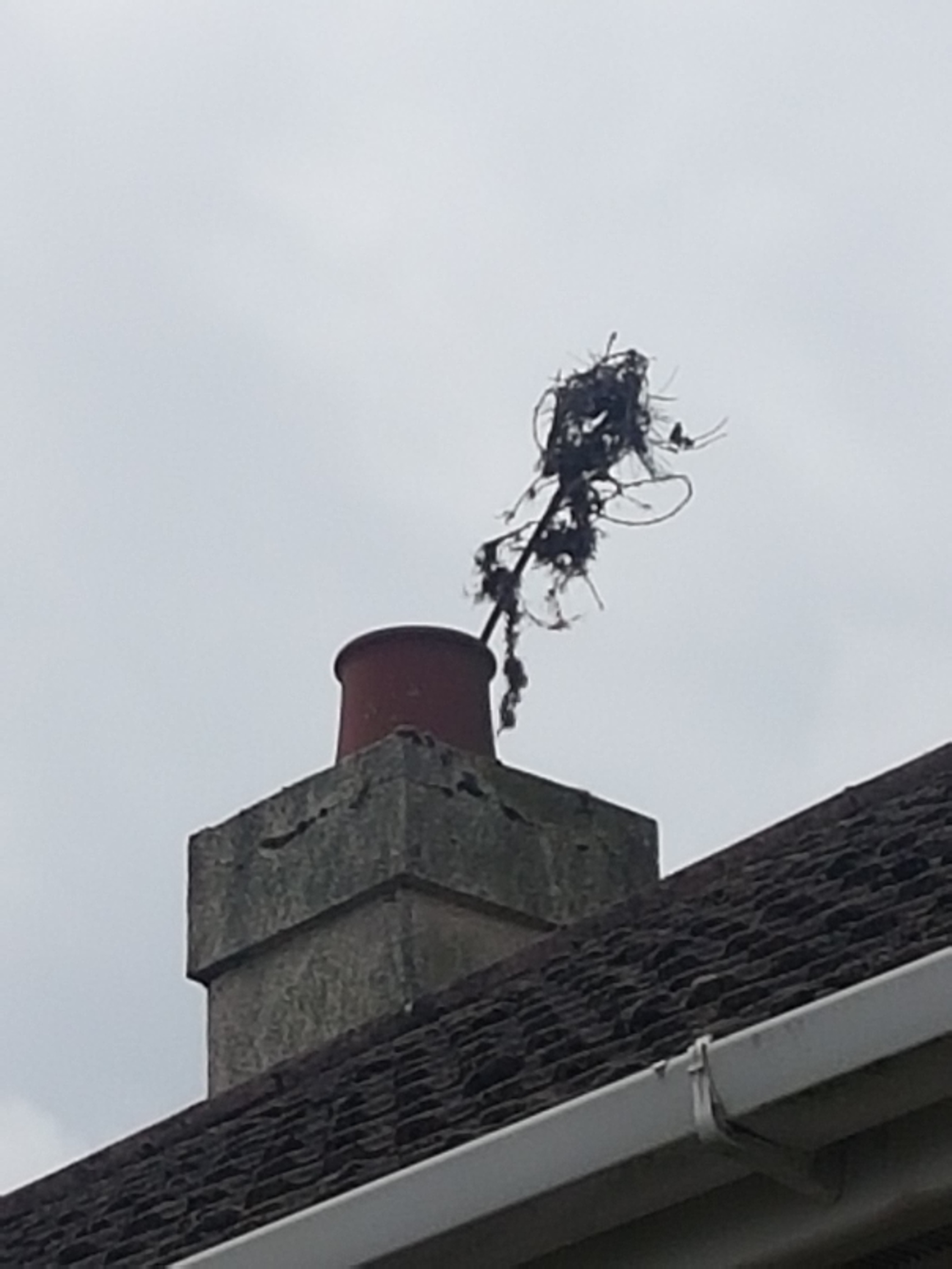 Chimney Sweep Plymouth | Hodgsons Chimney Sweeps